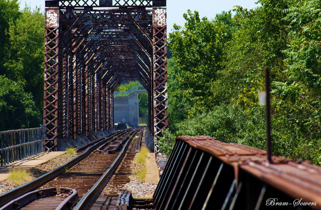 Picture of the Day: Rusty jungle bridge
